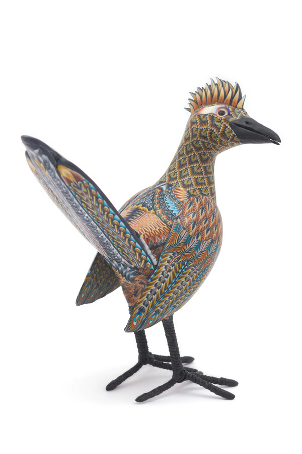 Road Runner - animals23