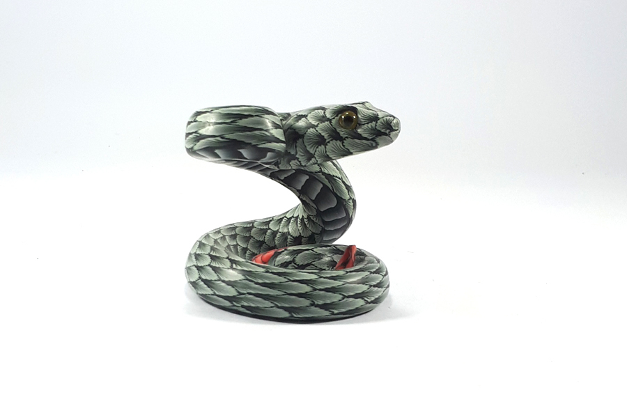 Snake - museum