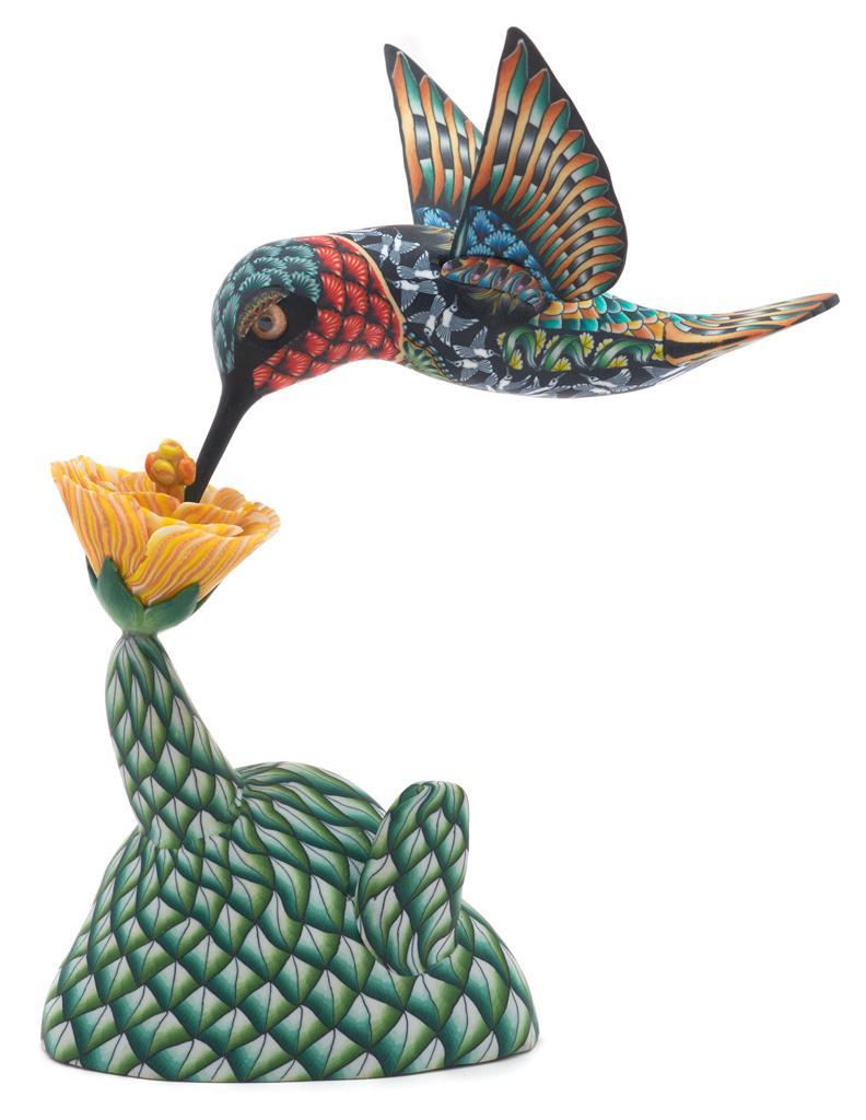 Hummingbird Family - animals23